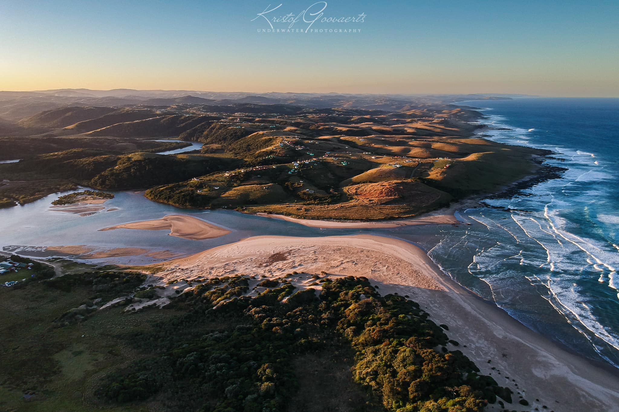 Sardine Run - South Africa - Diving Wild